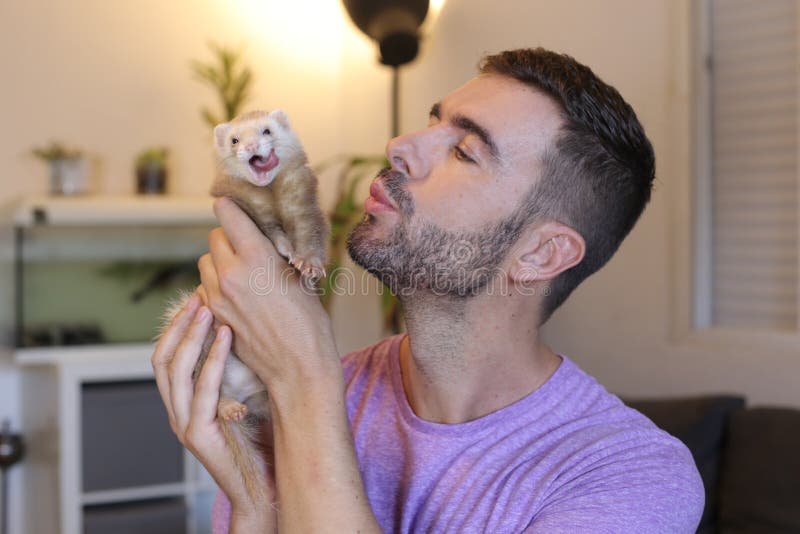Man with a playful ferret stock image. Image of hand - 238867093