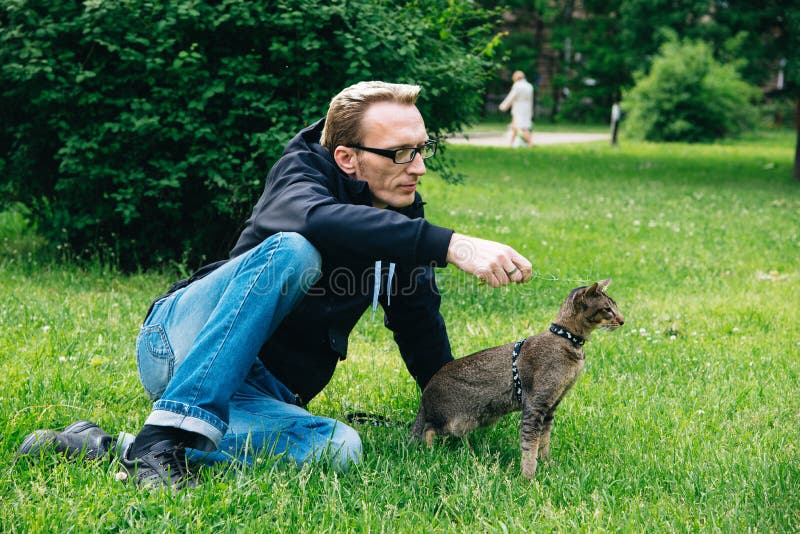 Man Playing the Cat Outdoor Stock Photo - Image of city, beige: 55642574
