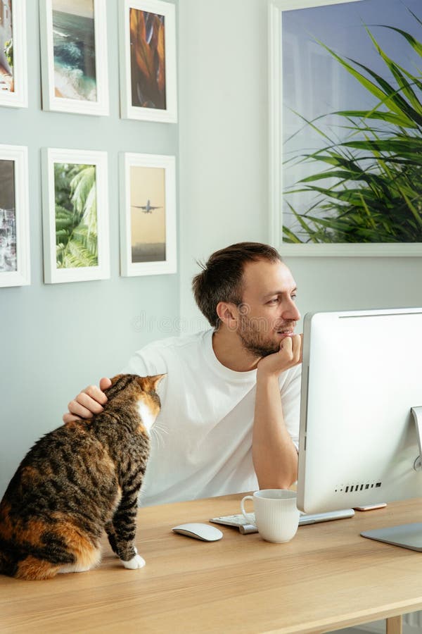 Man Playing with Cat Working Remotely on Computer from Home during ...