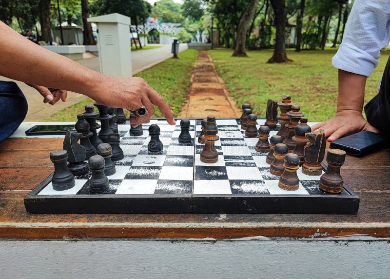 Man Playing Chess on the Bench Park Stock Image - Image of playing ...