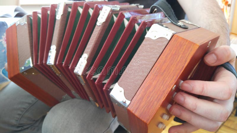 Man playing concertina stock image. Image of accordionist - 92680077