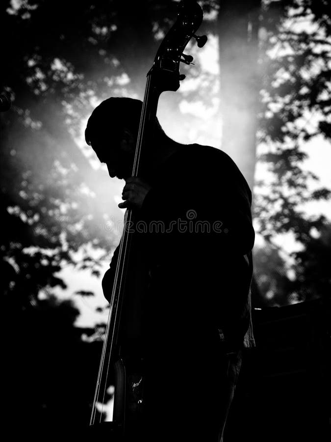 Man is playing contra-bass stock photo. Image of alternative - 9713326