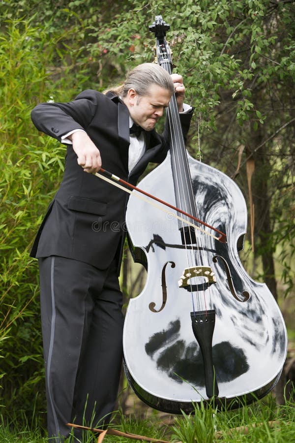 Man Playing the Double Bass in the Street Stock Photo - Image of player ...