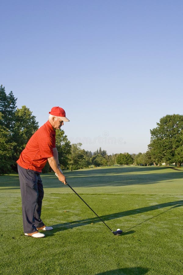 Man Playing a Game of Golf stock photo. Image of golf - 7230786