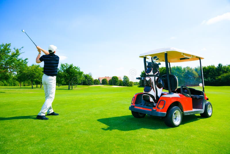 Man Playing Golf stock photo. Image of enjoyment, green - 85352108