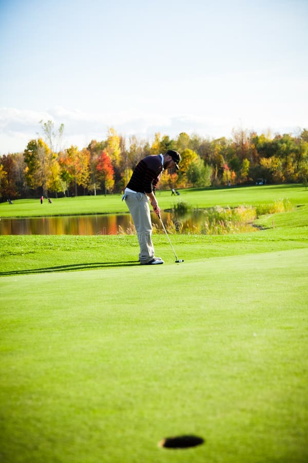Man playing golf stock image. Image of sportsmen, grass - 30045699