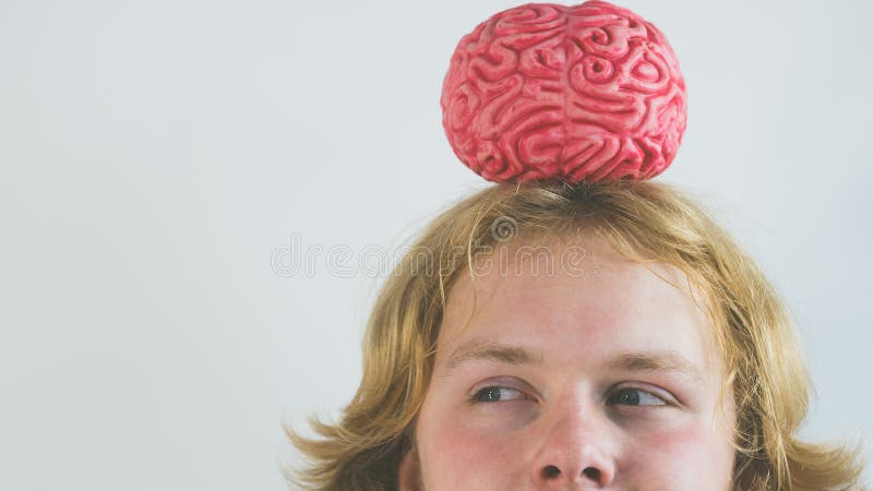 Man Playing with Human Brain Stock Photo - Image of intelligence ...