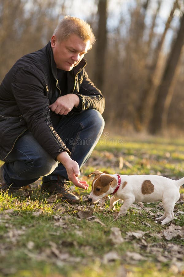 Man Playing with Jack Russell Stock Photo - Image of play, outside ...