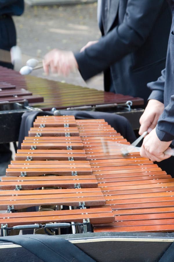 Man playing vibraphon stock image. Image of performer - 1872485