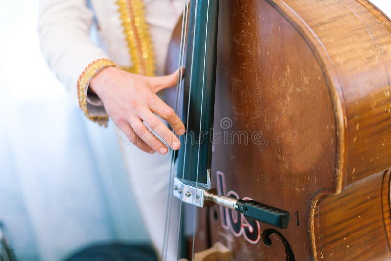 The Man Plays a Contrabass. Stock Image - Image of finger, performance ...