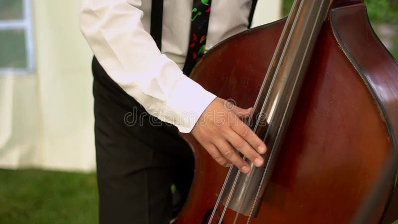 Double Bass. Hands Playing Contrabass Player Musical Instrument. Stock ...