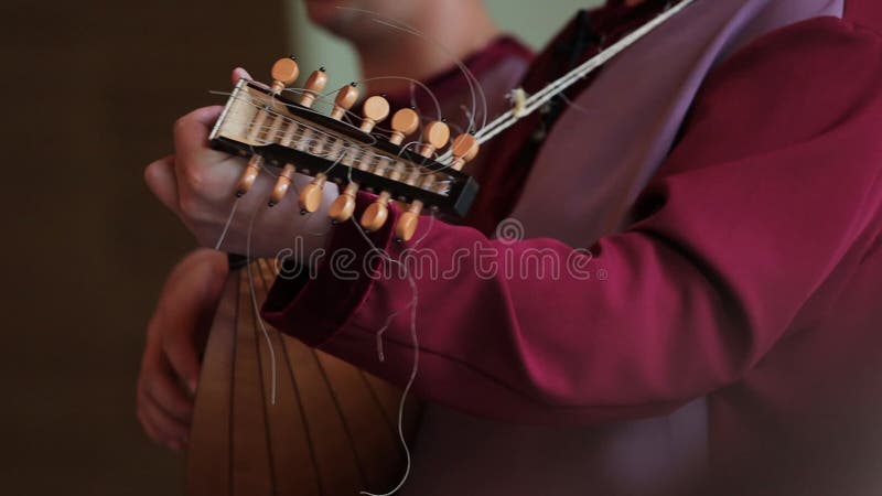 A Man Plays the Lute. Ancient Stringed Musical Instrument Stock Footage ...