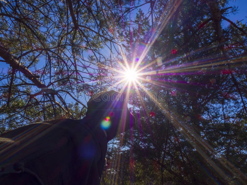 Finger on sunlight stock image. Image of background - 219356551