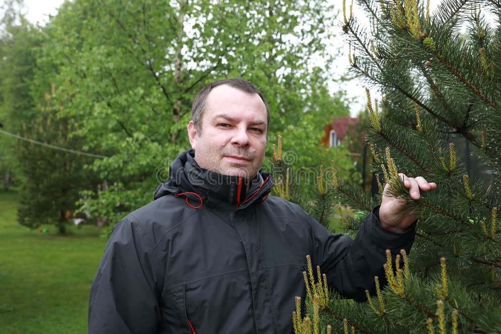 Man Posing with Sprouts of Spruce Stock Photo - Image of male, looking ...