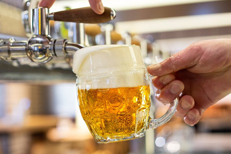 A Man Pouring Draft Lager Beer into a Dimpled Glass Mug in a Modern Pub ...