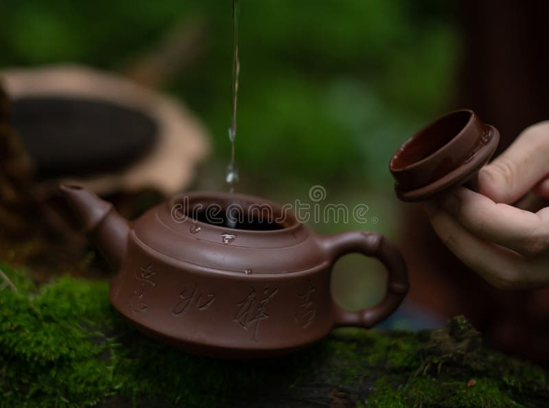 Man Pouring Water in Clay Chinese Teapot in Forest Stock Photo - Image ...