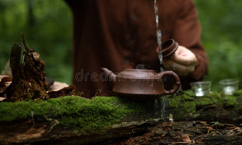 Man Pouring Water in Clay Teapot during Tea Ceremony in Forest Stock ...