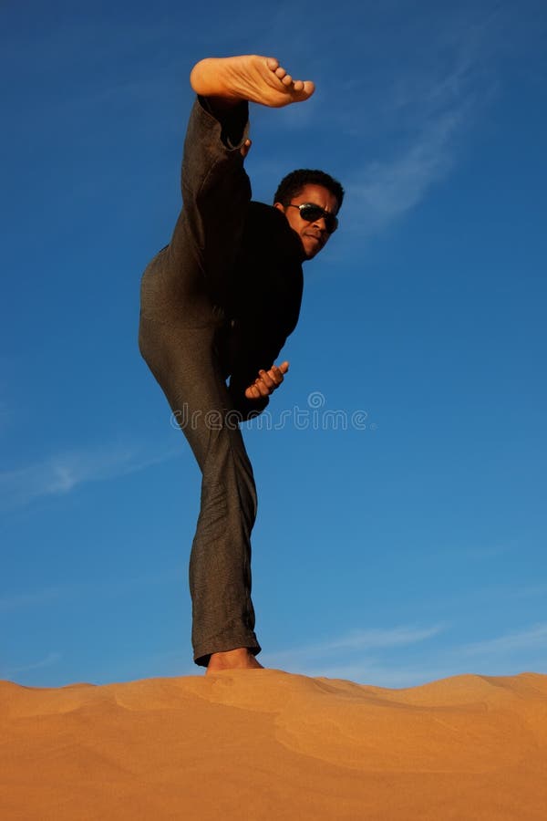 Man practicing karate stock image. Image of fitness, karate - 8192153