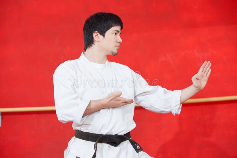 Man practicing karate stock photo. Image of dojo, male - 73554994