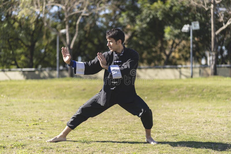 Man Practicing Kung Fu in the Park Stock Image - Image of karate, kung ...
