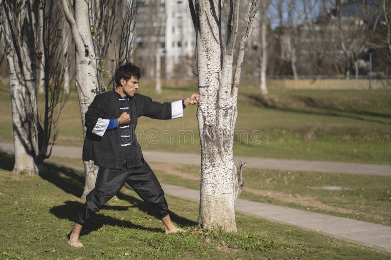 Man Practicing Kung Fu in the Park Stock Photo - Image of foot, karate ...