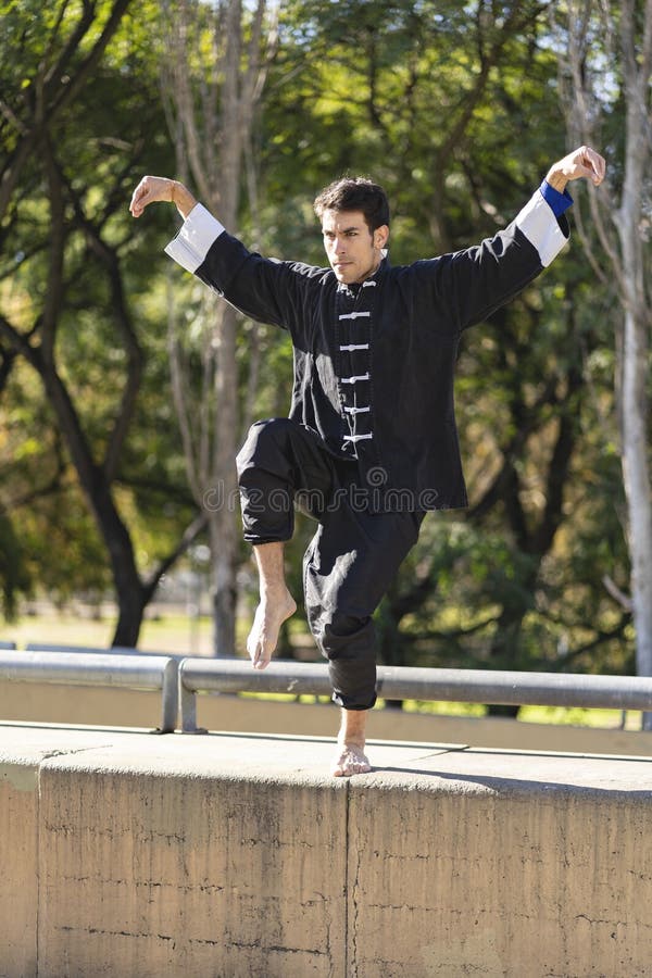 Man Practicing Kung Fu in the Park Stock Image - Image of pencak ...