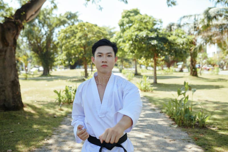 Man Practicing Taekwondo Stance Stock Photo - Image of competition ...