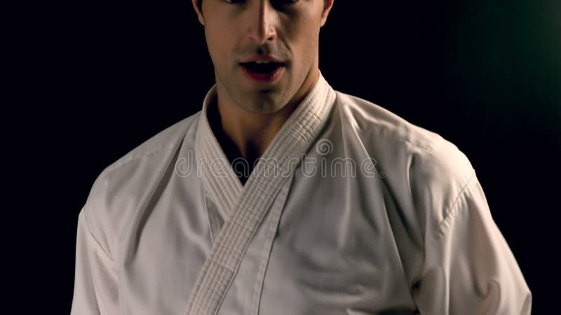 Man practising karate stock footage. Video of arts, fitness - 69524028