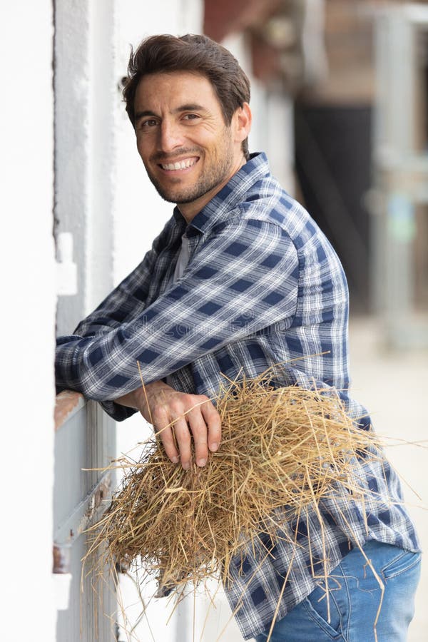 Man Prepares Hay for Animal Feed in Winter Stock Photo - Image of ...