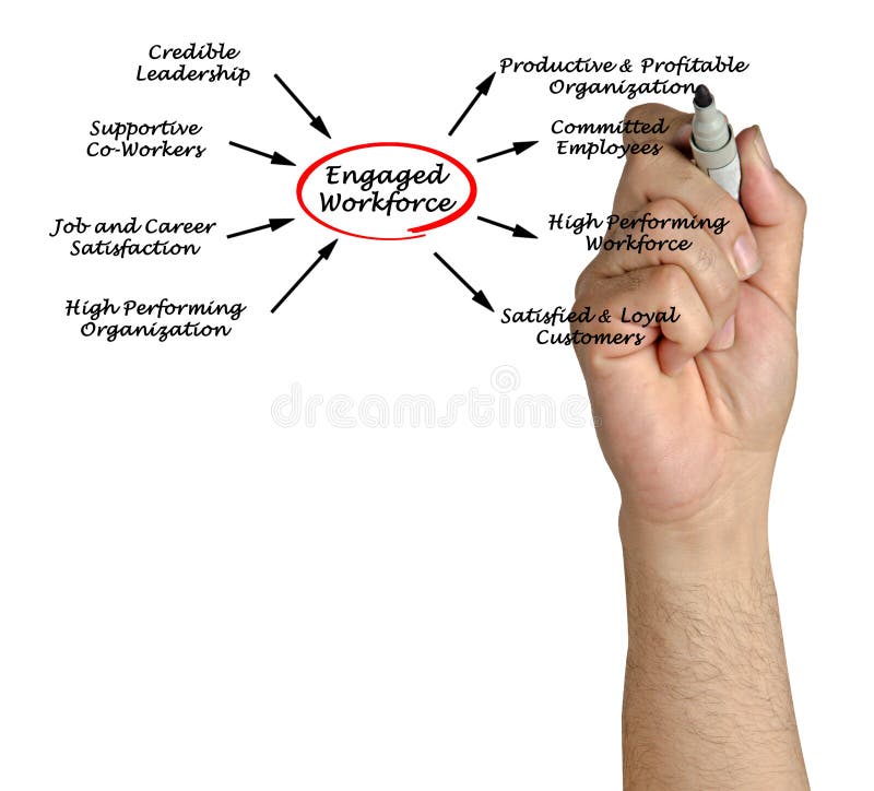 Engaged workforce stock photo. Image of commitment, lecturer - 85634942