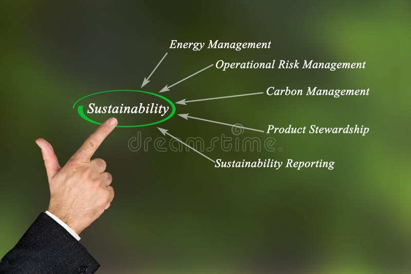 Diagram of sustainability stock photo. Image of explanation - 25236894