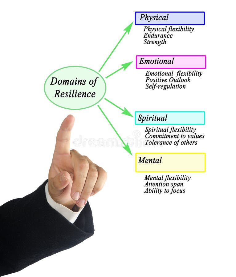 Presenting Domains of Resilience Stock Image - Image of emotion ...