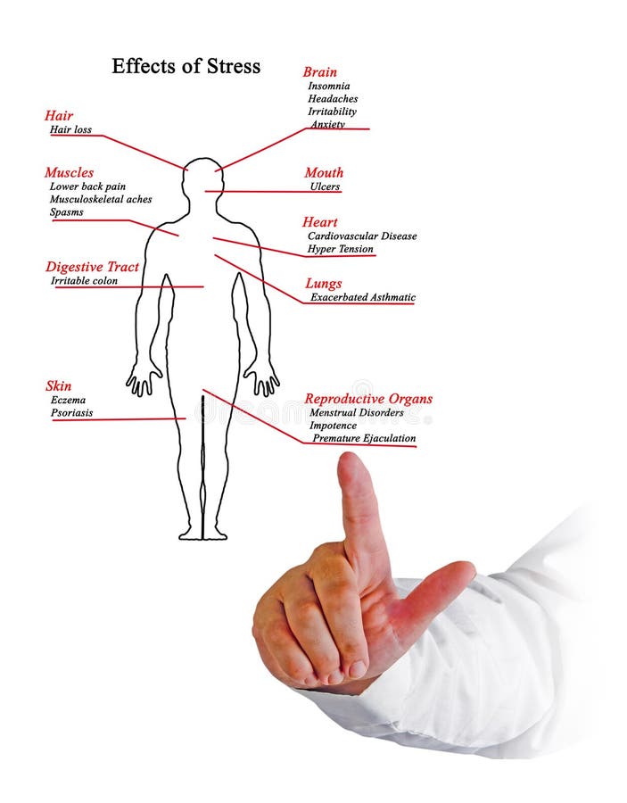 Effects of Stress stock photo. Image of diagram, concept - 106651000