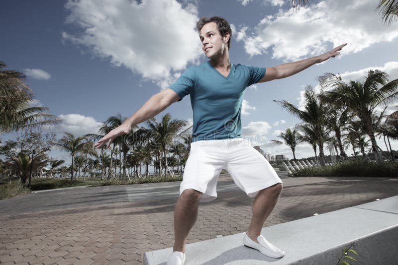 Pretending to fly stock image. Image of nature, shades - 4088501