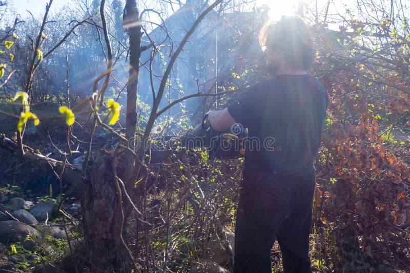 Man Pruning or Sawing Apple Tree Using Chainsaw. Farmer Sowing the Dry ...
