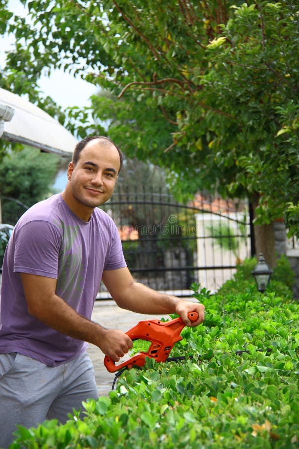 Man Pruning Shrub with Tool in Garden Stock Image - Image of clippers ...
