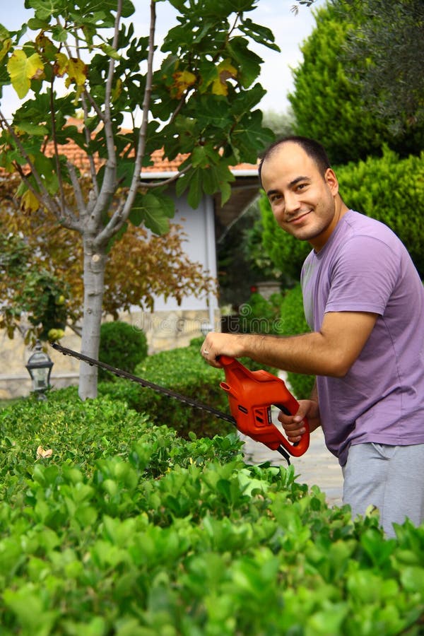 Man Pruning Shrub with Tool in Garden Stock Image - Image of clippers ...