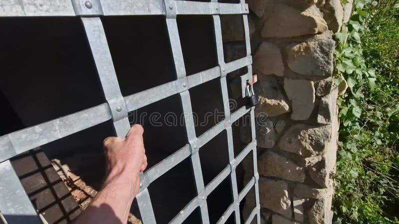 A Man is Prying through a Wrought Iron Grate and Galvanized Surface. he ...