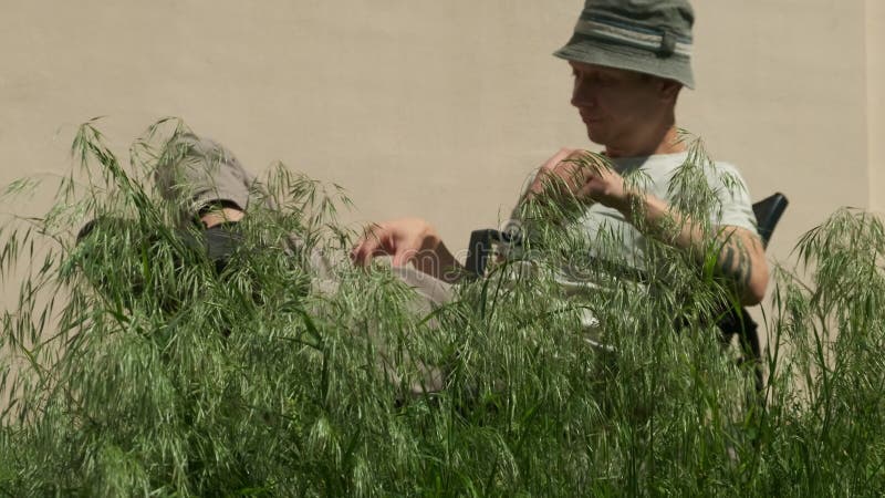 Man Pulls Tall Grass in Backyard and Checks Length before Mowing. Guy ...