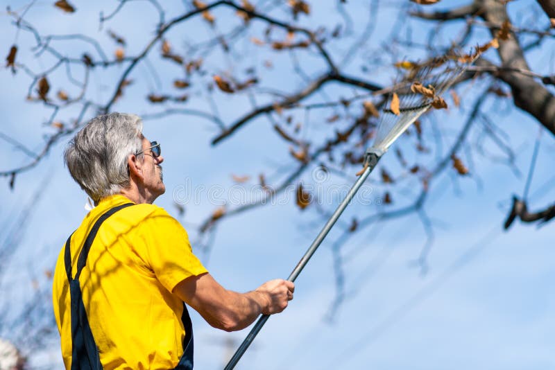 254 Punching Tree Stock Photos - Free & Royalty-Free Stock Photos from ...