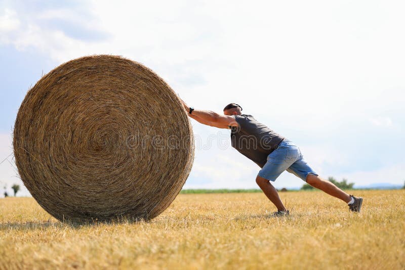 Man Pushes Stack Hay Field Stock Photos - Free & Royalty-Free Stock ...