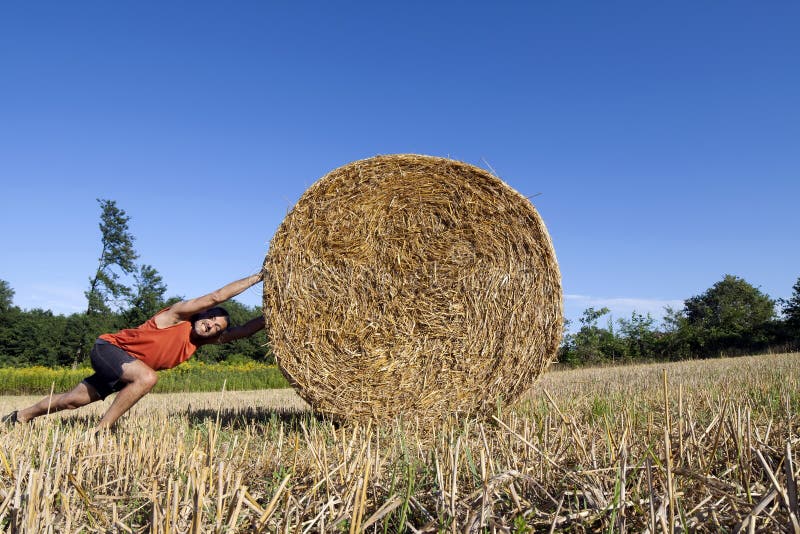 Man pushing hay bale stock photo. Image of uphill, funny - 25856268