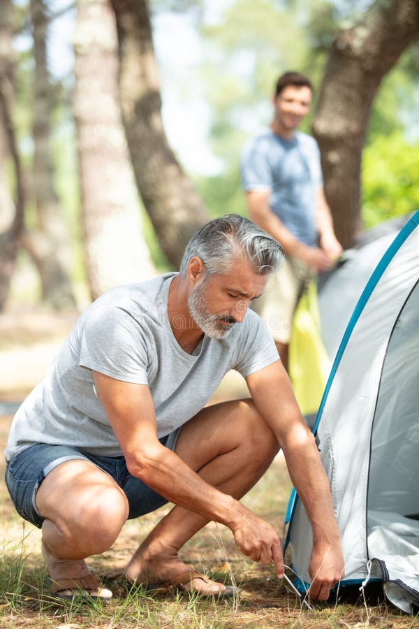 Man Pusing Tent Pegs into Grass Stock Image - Image of ...