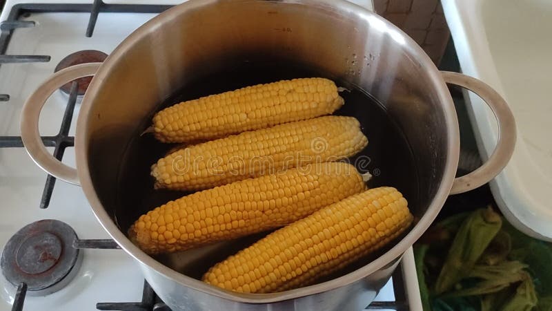 Man Puts Corn in a Cooking Pot Stock Video - Video of corn, dinner ...