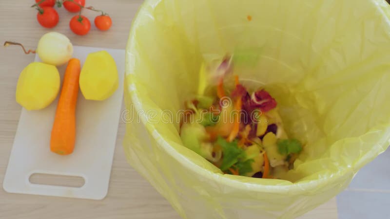 Biodegradable Vs Non Biodegradable Waste Concept 4k Animation Stock ...