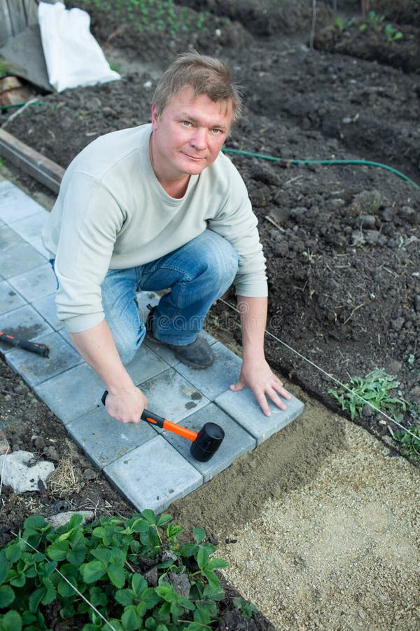 Man puts paving stock photo. Image of paver, caucasian - 69698852