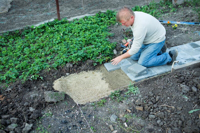 Man puts paving stock image. Image of ground, caucasian - 69698905