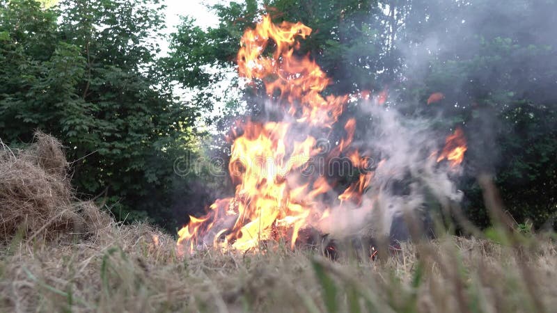 A Man Puts a Pitchfork Dry Grass in a Burning Fire Stock Video - Video ...