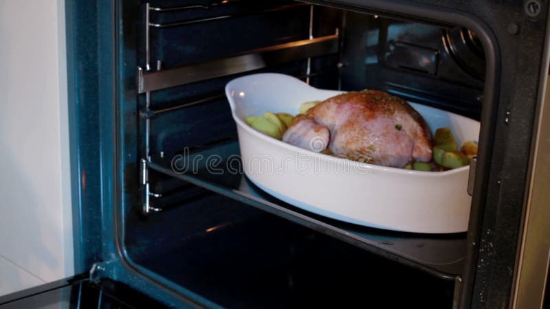 Man is Putting Chicken Leg on a Plate from Barbeque Grid Stock Video ...
