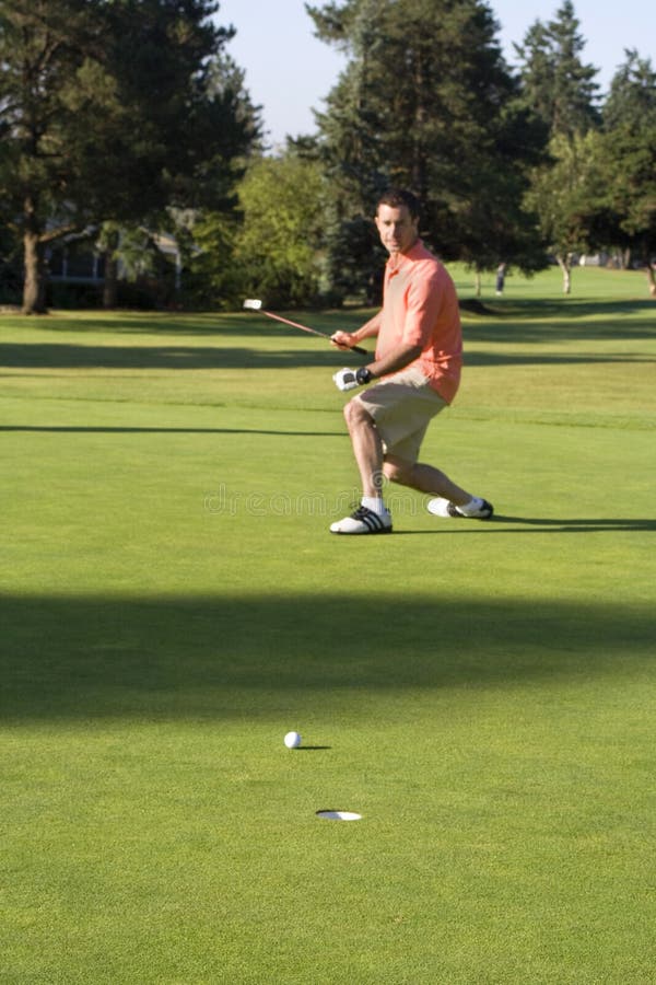 Man Putting on Golf Course stock image. Image of sport - 6295547